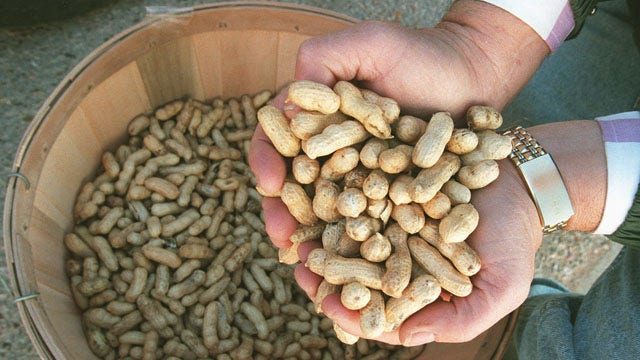 Study says nut eaters have lower cancer, heart disease risk | Fox News