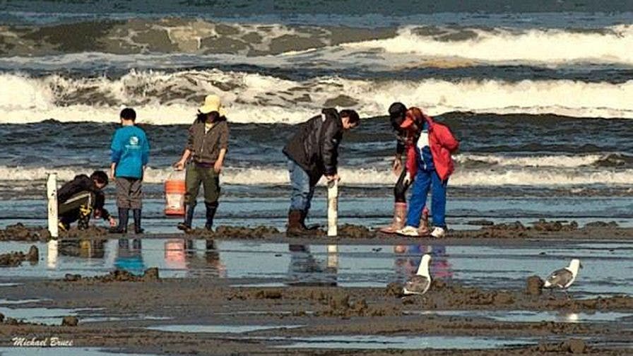 2 women die while digging for clams on Washington beaches | Fox News