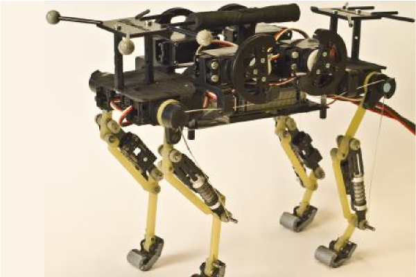 The cat's meow: try to outrun this robotic feline | Fox News