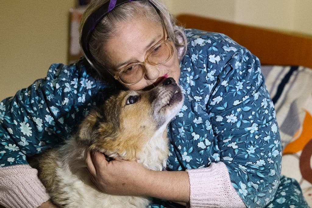 Romanian street dogs visit Bucharest elderly; dogs find purpose ...
