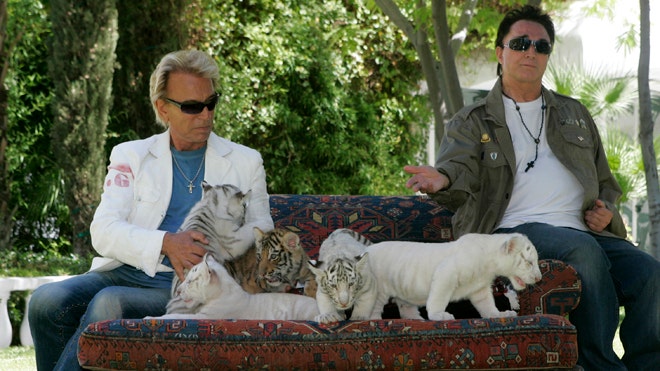 Tiger that injured Roy of Siegfried & Roy dies | Fox News
