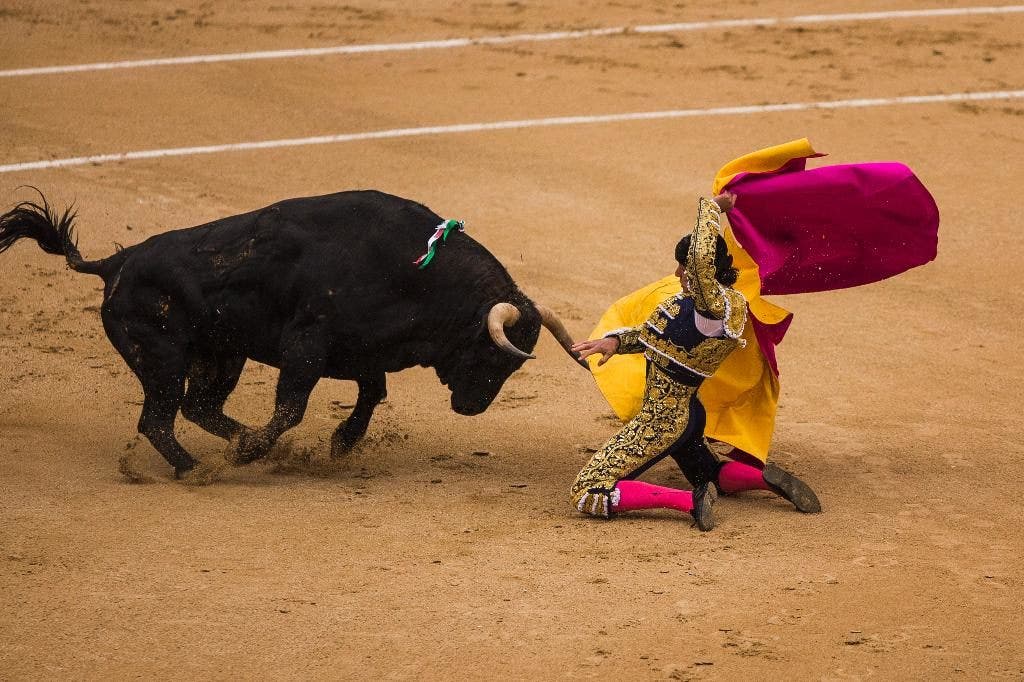 Spanish bulls injure 3 matadors in historic knockout victory | Fox News