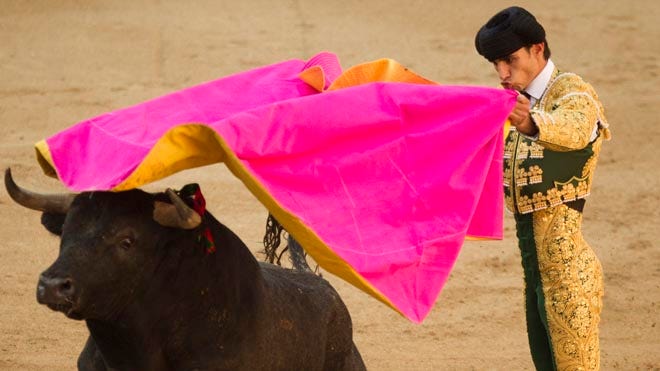 Matador gored to death during bullfight | Fox News