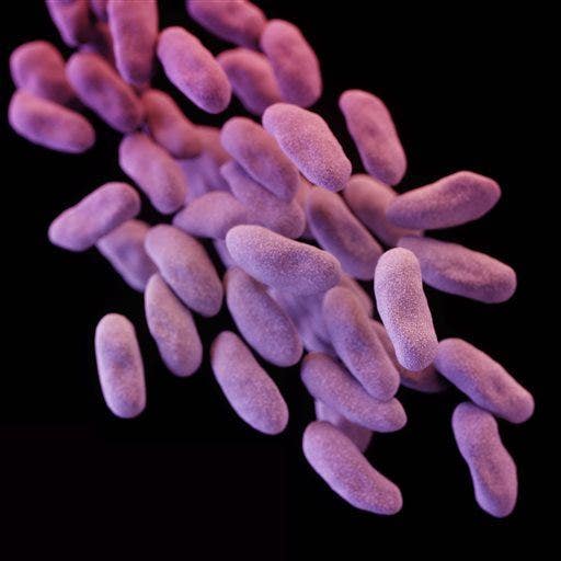 CDC: Superbugs cause 1 in 7 infections caught in hospitals | Fox News