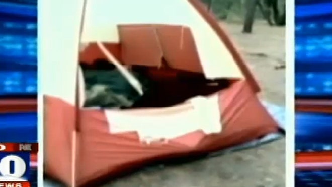 Arizona man missing part of scalp after bear attack | Fox News