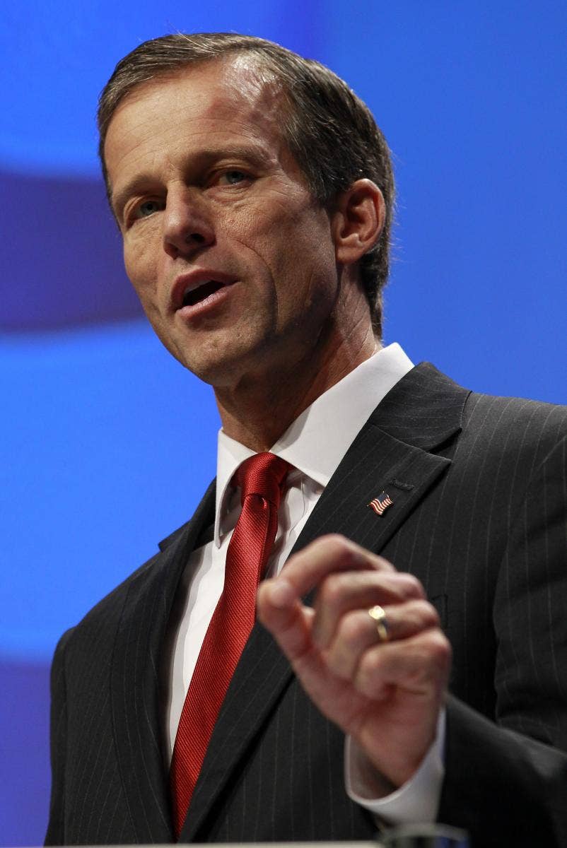 Senator John Thune Doesn't Plan to Run For President | Fox News