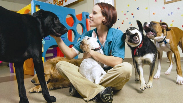 Walt Disney World Adding Resort for Pets | Fox News