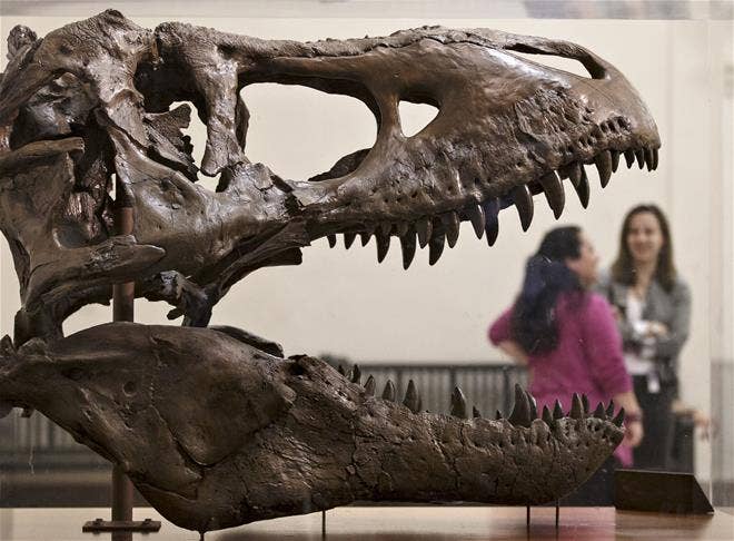 T. rex's ferocious teeth may have been hidden by lips | Fox News