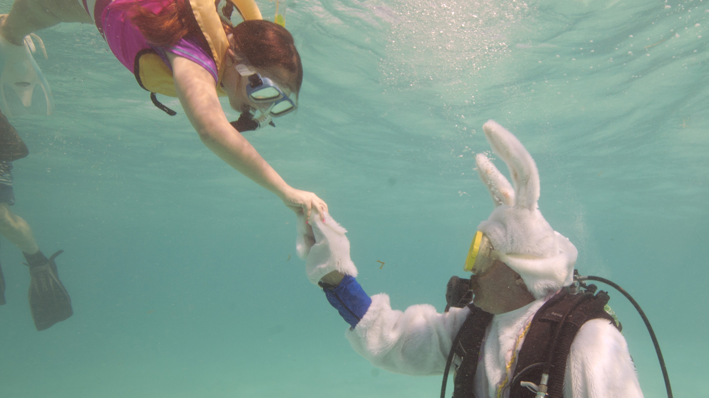 Underwater Easter egg hunt makes a splash | Fox News