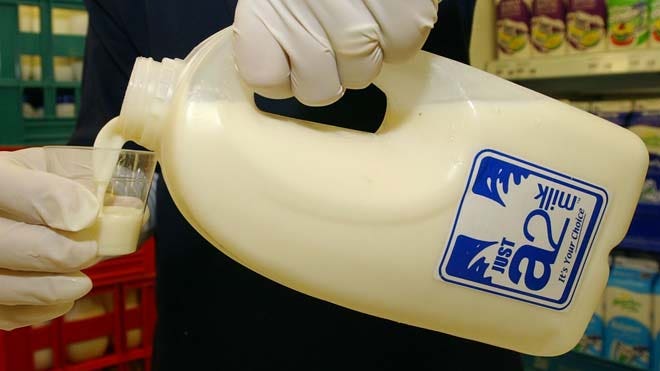 Milk lover but intolerant to it? The new a2 milk may be for you | Fox News