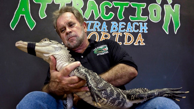 Florida man offers his alligators to swim at children's pool parties ...