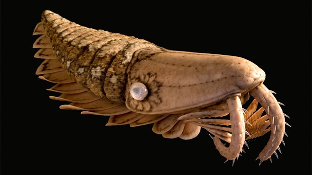 Toothy Beast Was Once Ancient World's Largest Sea Monster | Fox News