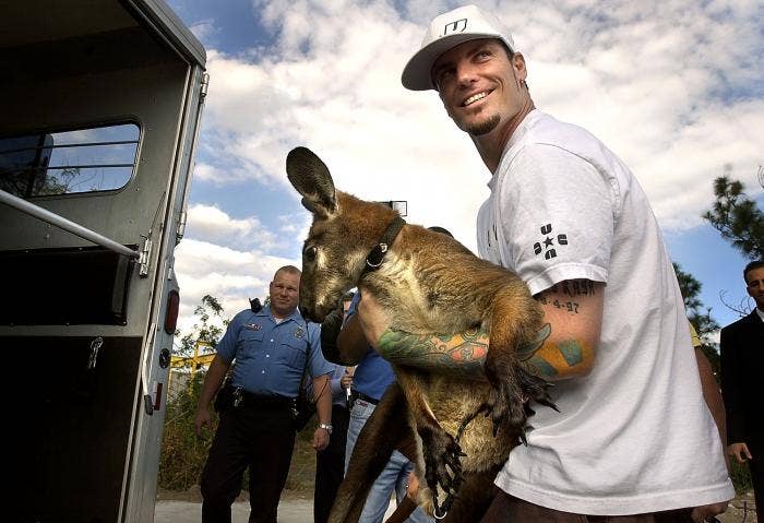 12 Celebrities Who Own(ed) Crazy Exotic Pets | Fox News