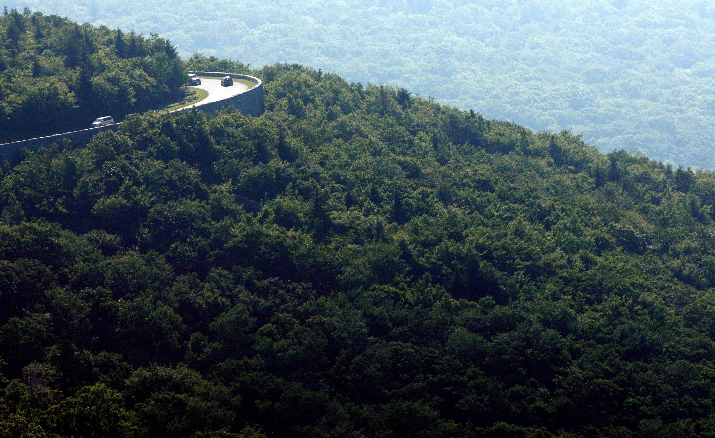 Description of suspect who tied woman to tree released | Fox News