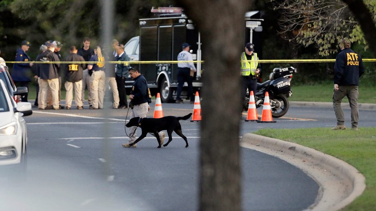 Austin bombings show 'similarities,' work of 'serial bomber,' police ...