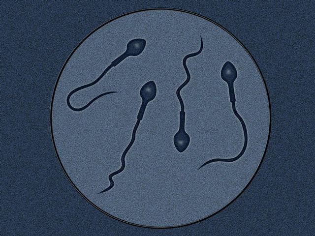 Whos Your Daddy Sperm Donation Creating Superdads That May Have Fathered Hundreds Report