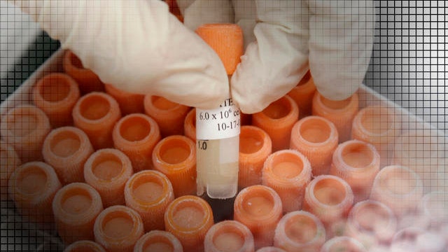 Democrats, Republicans Spar Over Ethics of Embryonic Stem Cell Research ...