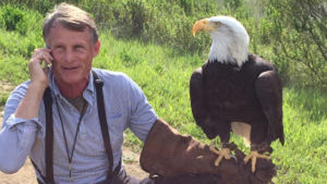 California museum finds bald eagle safe after missing several days ...