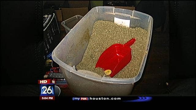 Bath Salts Problem Grows, Drug Counselors Say They Have Their Hands ...