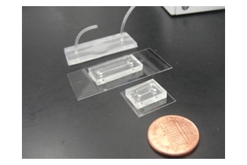 How 'brain-on-a-chip' could test drugs | Fox News