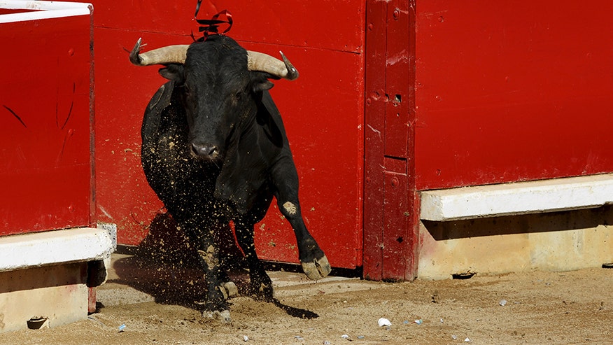 Bullfighter gored in the groin, carried out of ring bleeding and ...