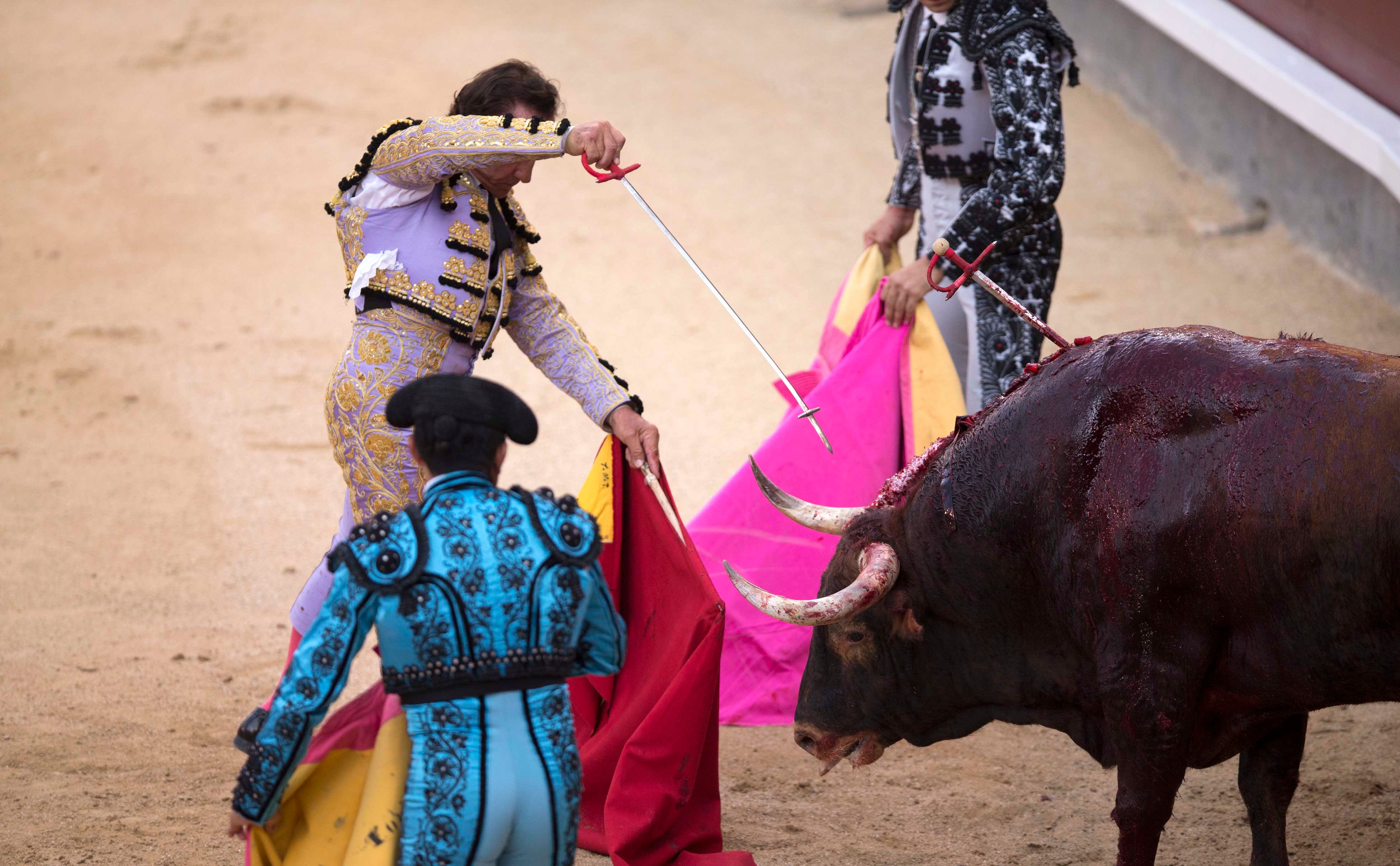 Fights over bullfights--new elected officials in Spain question funds ...