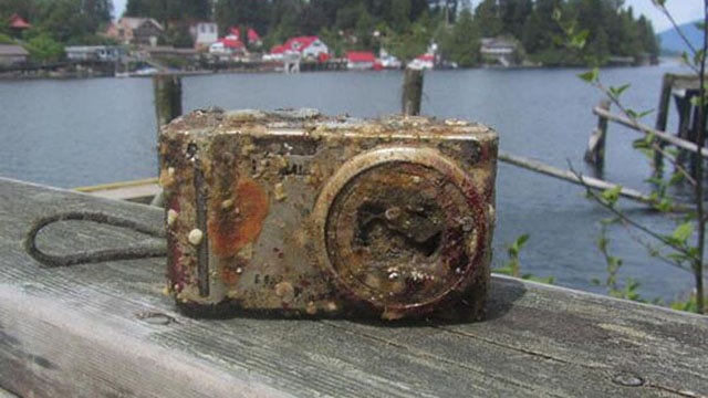 Camera lost in shipwreck found 2 years later with pictures intact | Fox ...