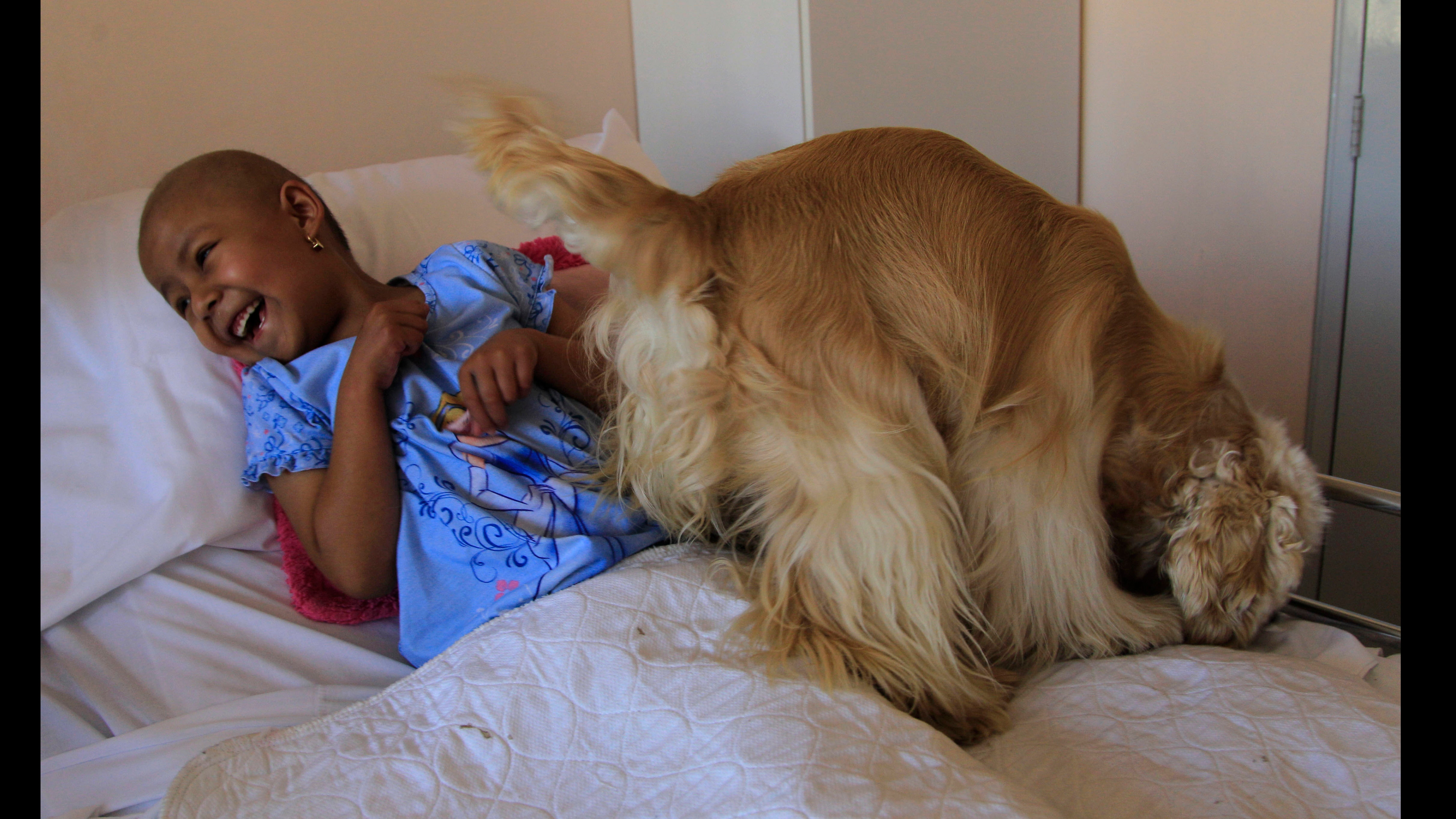 Visiting Dogs Boost Young Cancer Patients' Spirits and Lessen Chemo ...