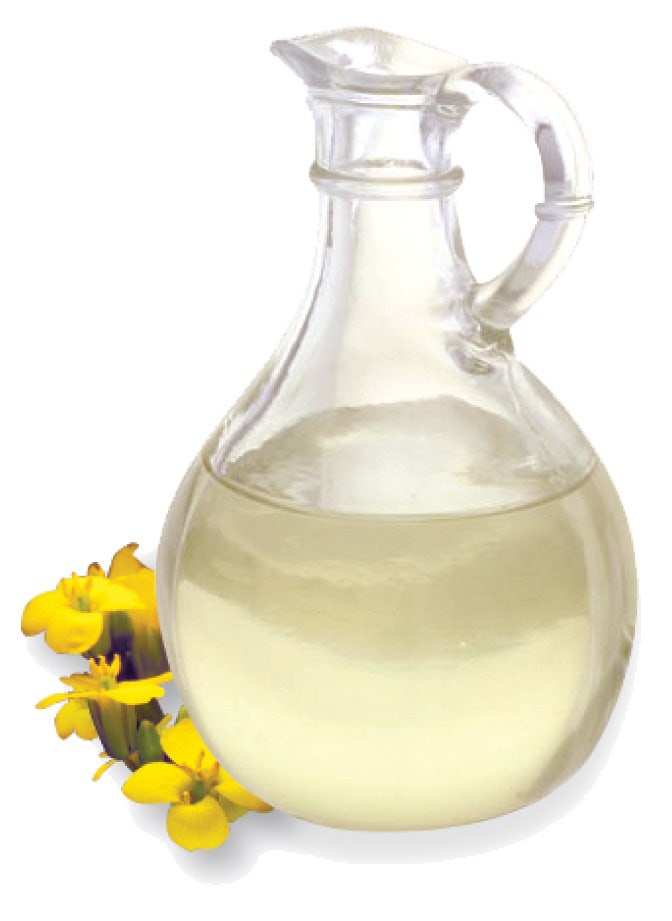 Canola Oil: An Underrated Food Staple That The Heart Loves | Fox News