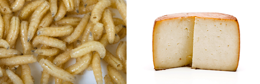 Foods You Can't Buy in the United States | Fox News