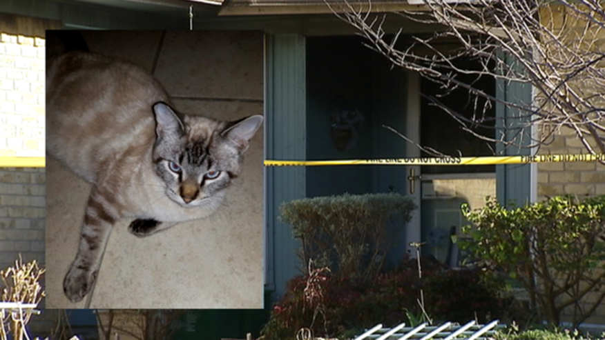 Cat named 'Angel' saves owner before dying in house fire | Fox News