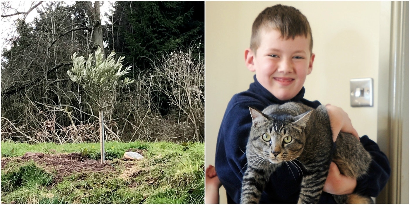 Cat returns home two days after owners bury its 'remains' | Fox News