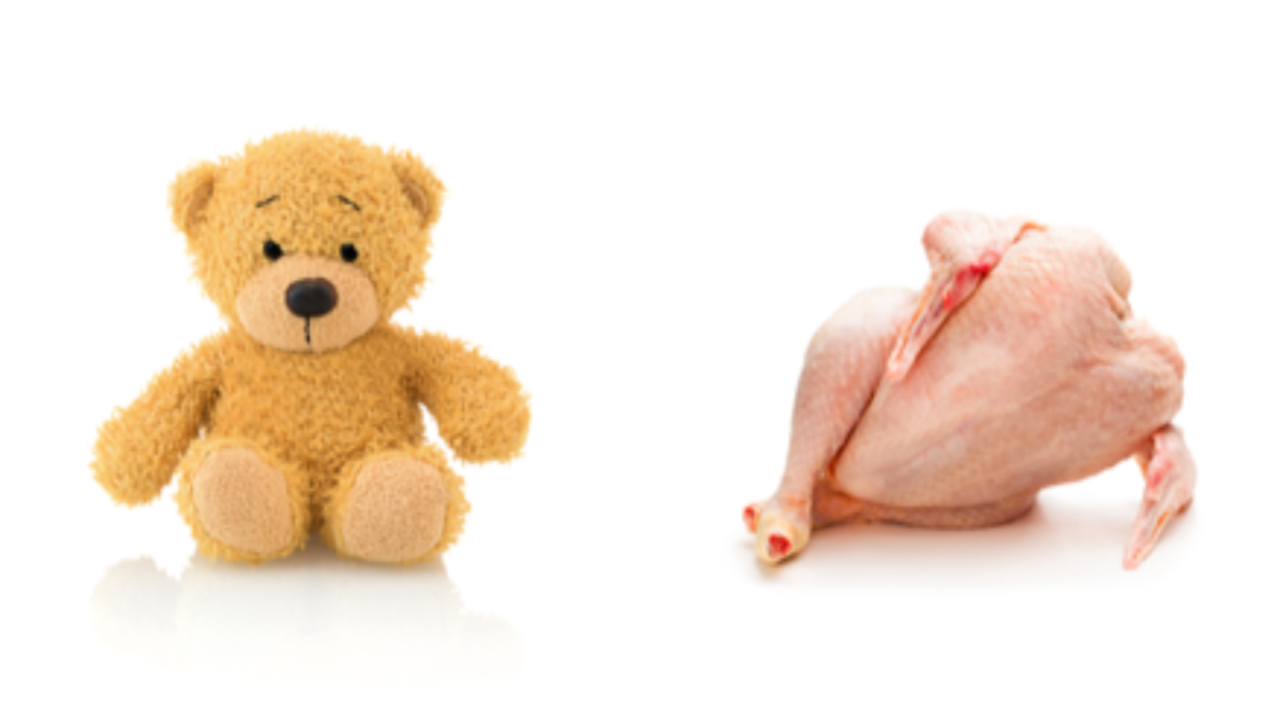 Woman's ad for raw-chicken 'teddy bears' pulled from Facebook ...