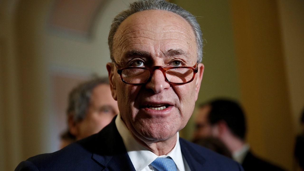 Schumer slammed for sexually suggestive talking point | Fox News