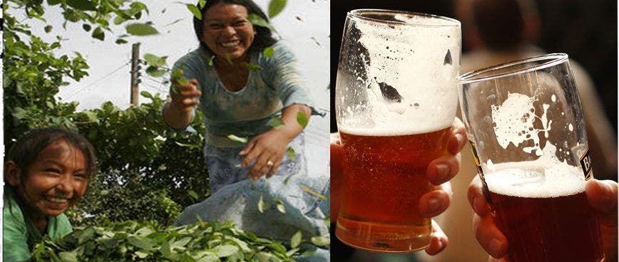 Bolivia Serves Up Coca Beer To Fight Altitude Sickness | Fox News