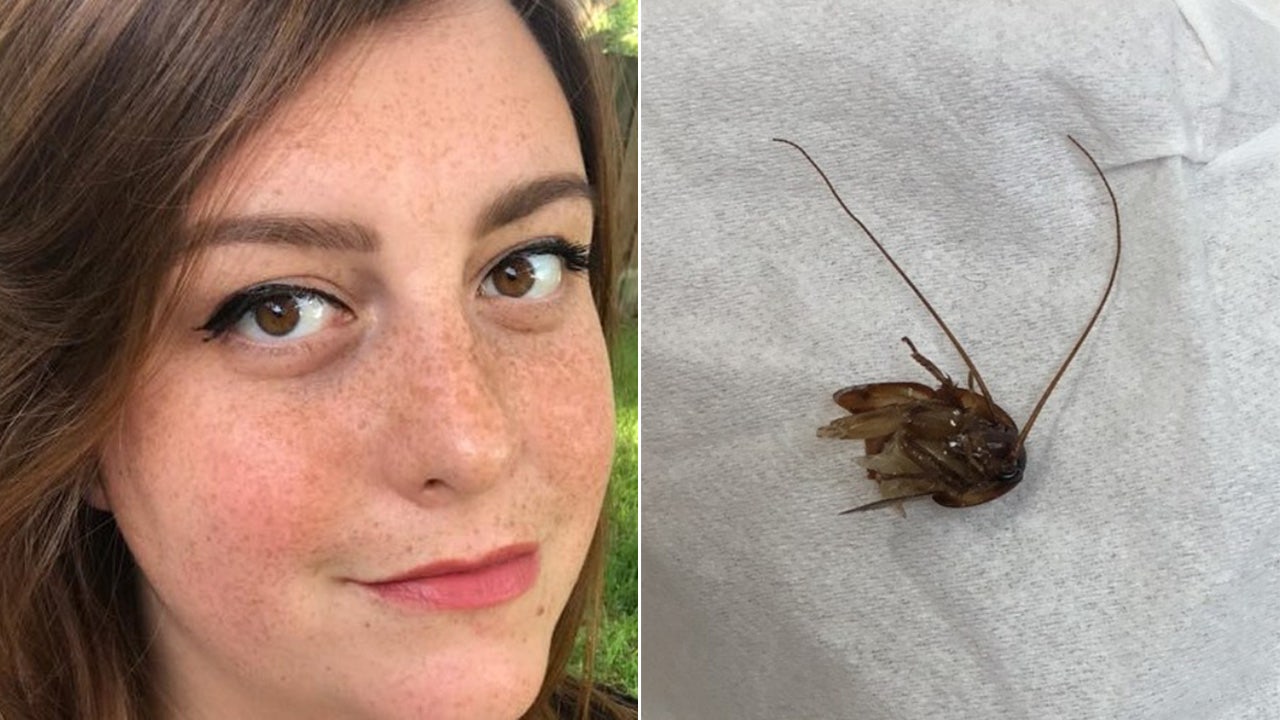 Woman lived with cockroach in her ear for 9 days after it crawled in ...
