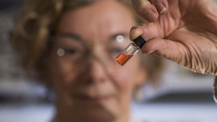 Scientists reveal they have found the world's oldest color | Fox News