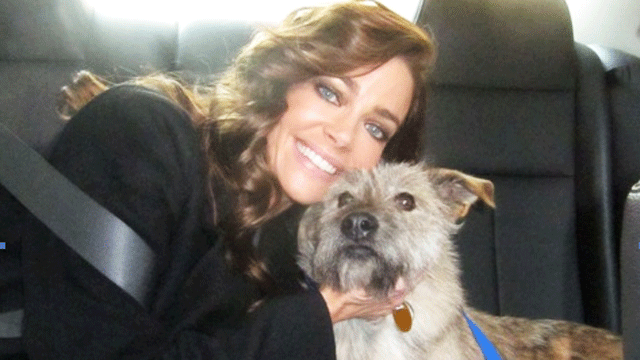 Denise Richards Has a New, Blind Best Friend | Fox News