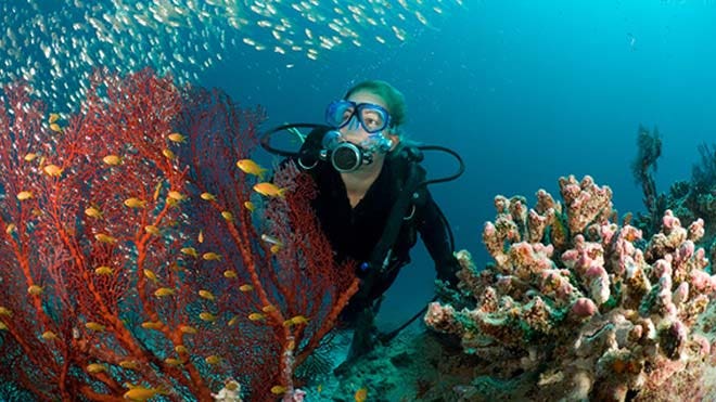 Top 10 diving hotels worldwide | Fox News