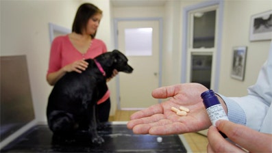 Generics Advancing on Lucrative Pet Drug Market | Fox News
