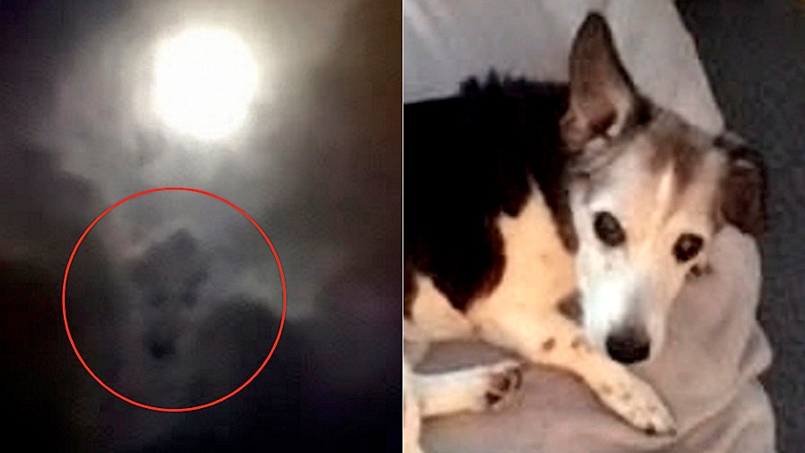 Grieving dog owner's full moon photo goes viral | Fox News