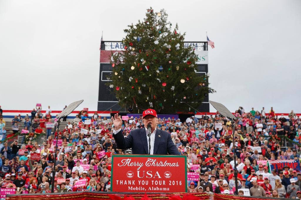 Trump rally tree to be used for cat scratching, bird feeding | Fox News