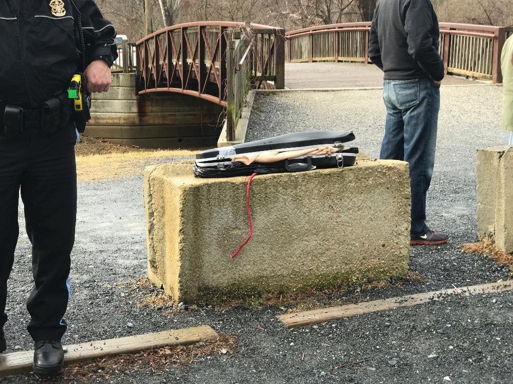 Guns in violin case, other weapons found along Potomac in DC | Fox News