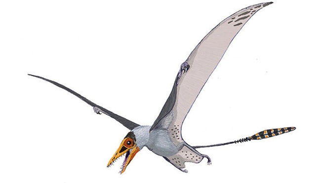 Giant, flying reptiles once filled England's skies | Fox News