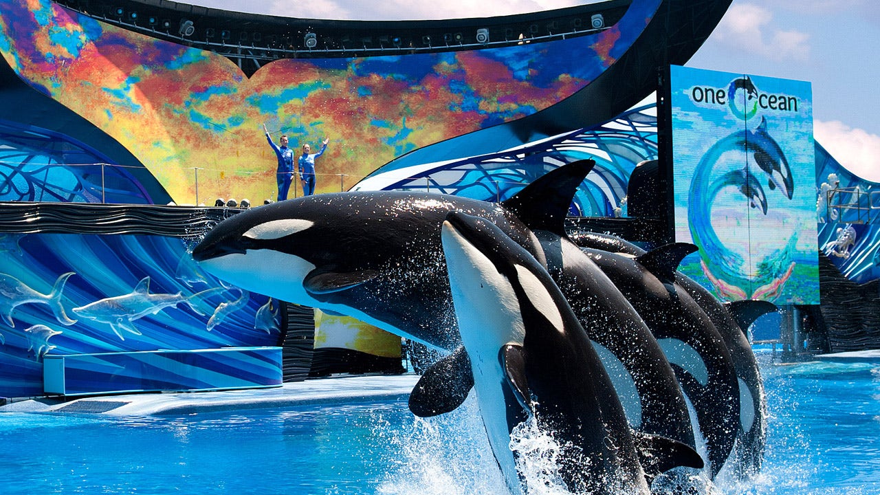 SeaWorld drops weekend ticket price, announces new pricing structure ...