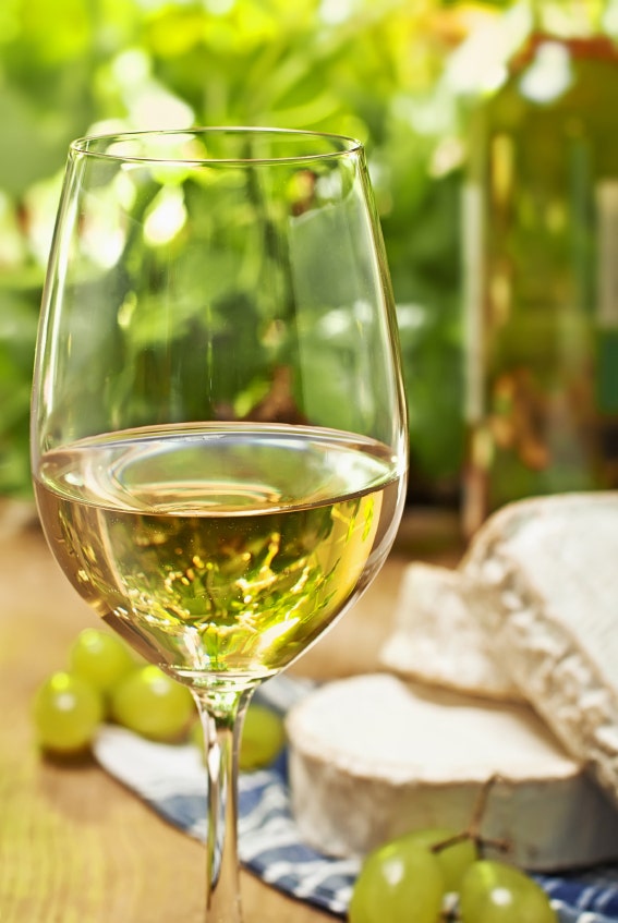 A primer on pinot grigio wine | Fox News