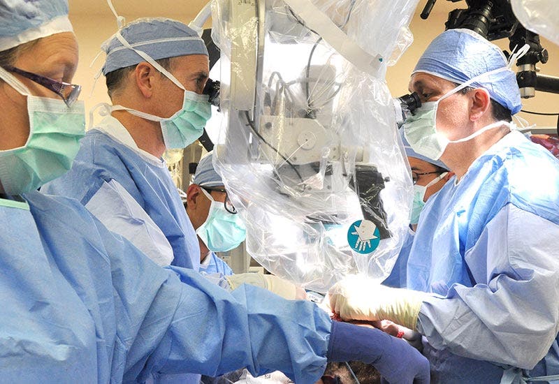 Surgeons perform near-total face transplant on patient | Fox News