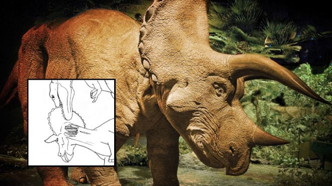 The proper way to eat a Triceratops | Fox News
