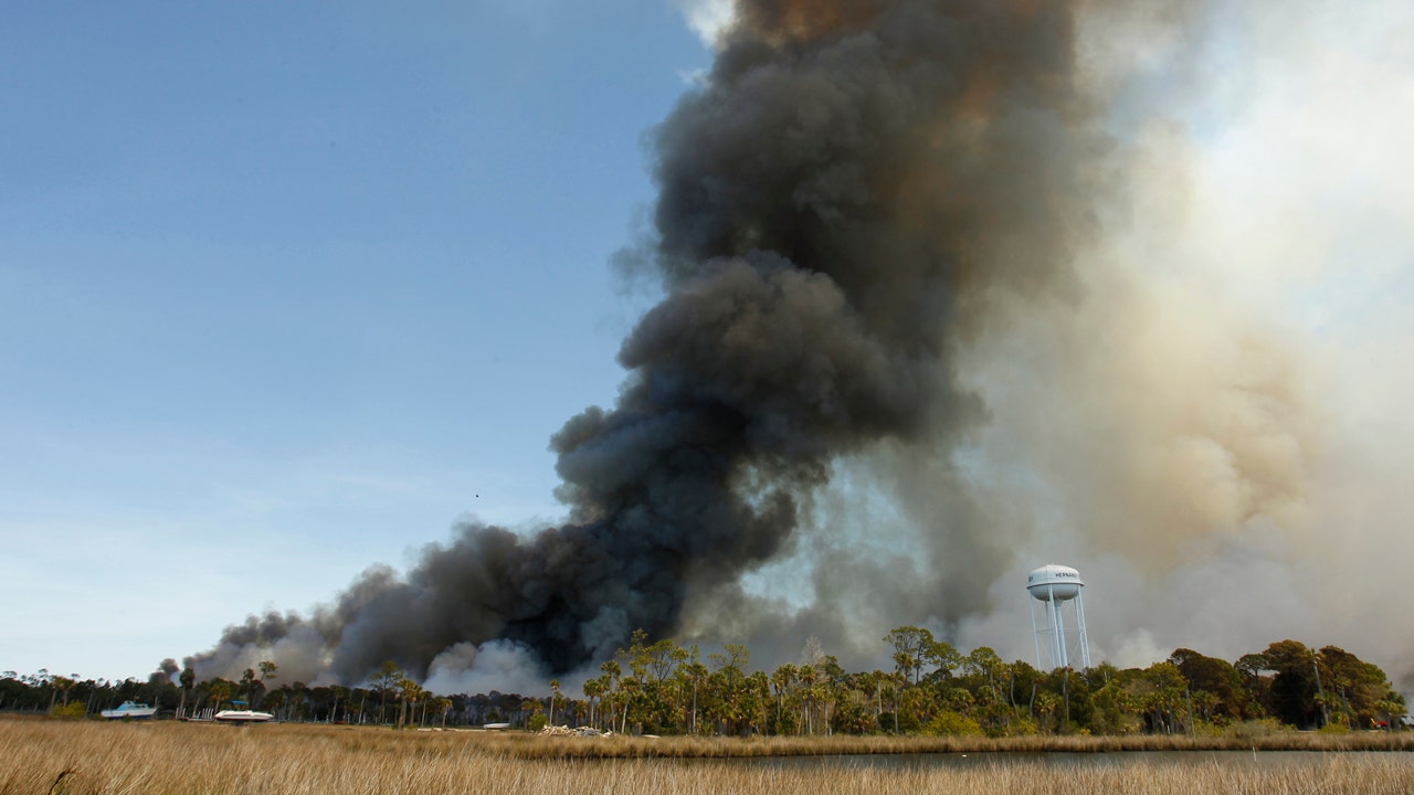 Florida declares state of emergency as wildfires scorch parts of state ...