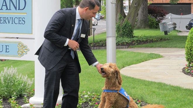Funeral homes increasingly using dogs to comfort mourners | Fox News